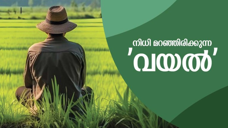 നിധി മറഞ്ഞിരിക്കുന്ന 'വയല്‍' | Syro-Malabar Vision മത്തായിയുടെ സുവിശേഷം ...